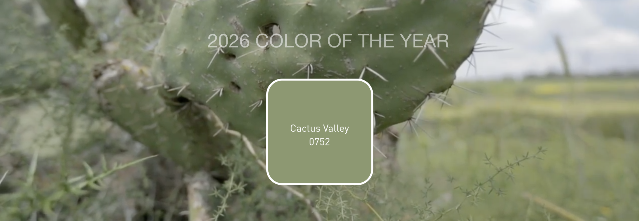 Cactus Valley Named California Paints 2026 Color of the Year ...